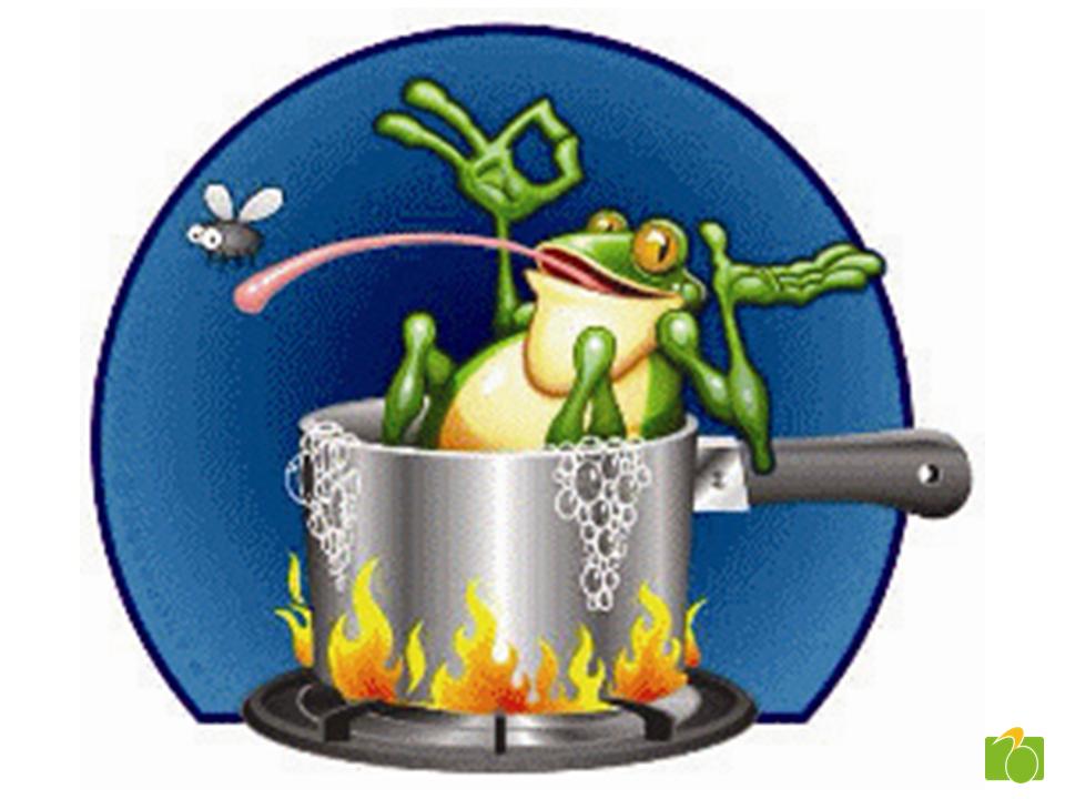 PuPu BLOGJA: A MAGYAR BÉKA