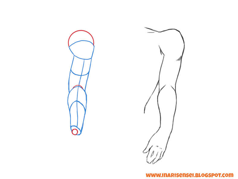 Les Cours Mangas d'Inari Sensei : Tutoriel: Les bases pour dessiner les ...