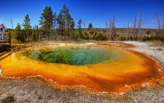 Nuestro Bello Planeta: Yellowstone Park Morning Glory Pool