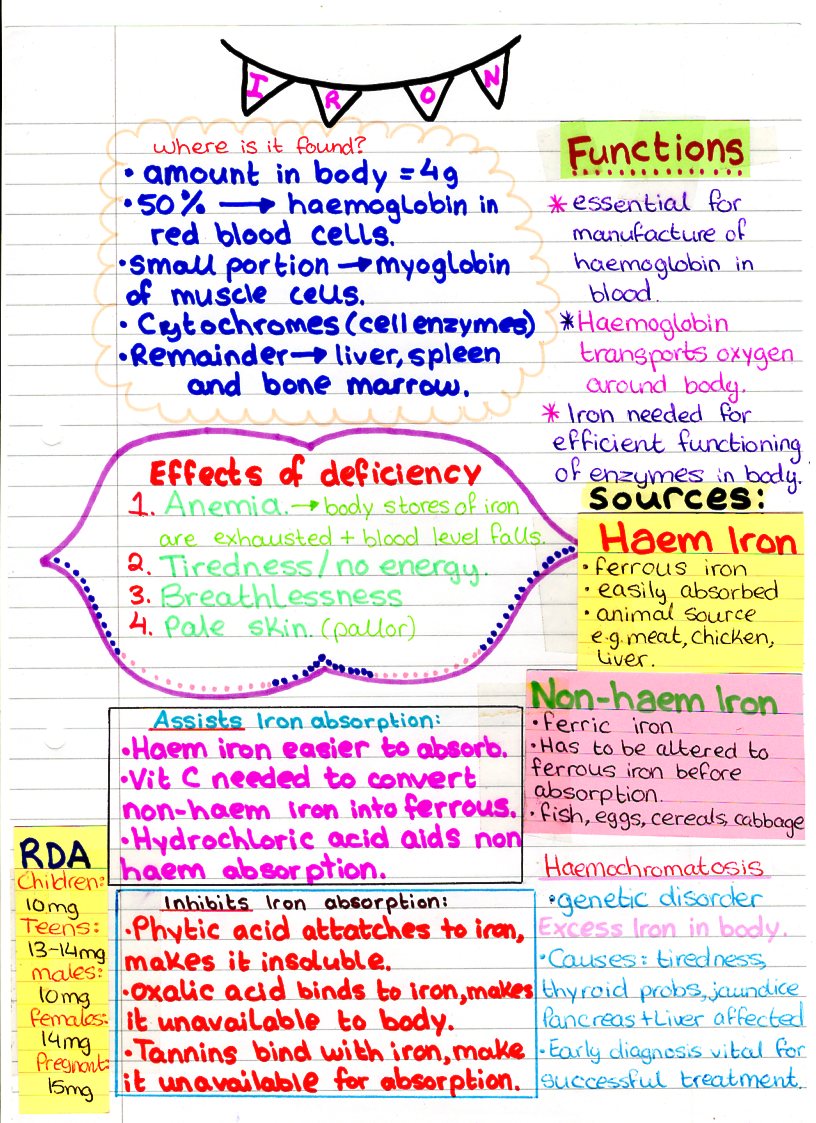 Study Notes By Kaz: Home Economics