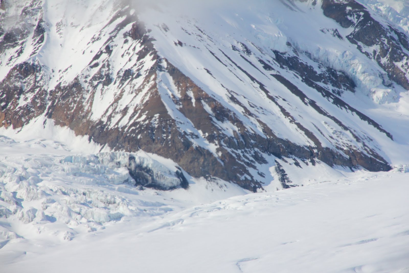 Mt. Foraker - Sultana Ridge : Trip Reports : SummitPost