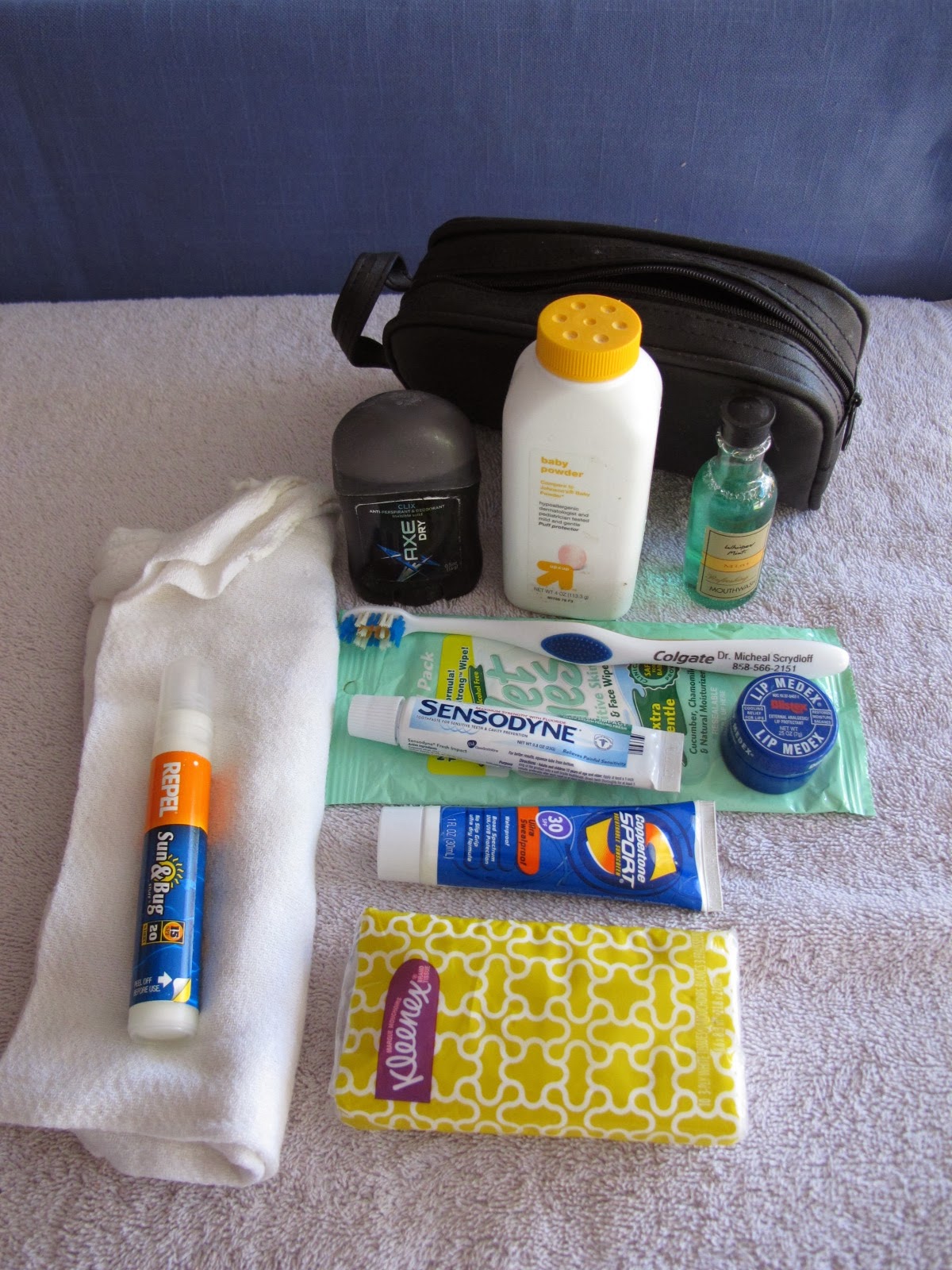 A Hiking Fool: The "Go Bag" - Day Hike Ready, Willing and Able!