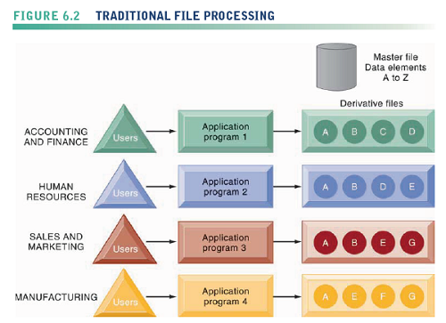 Organizing data in a traditional file environment