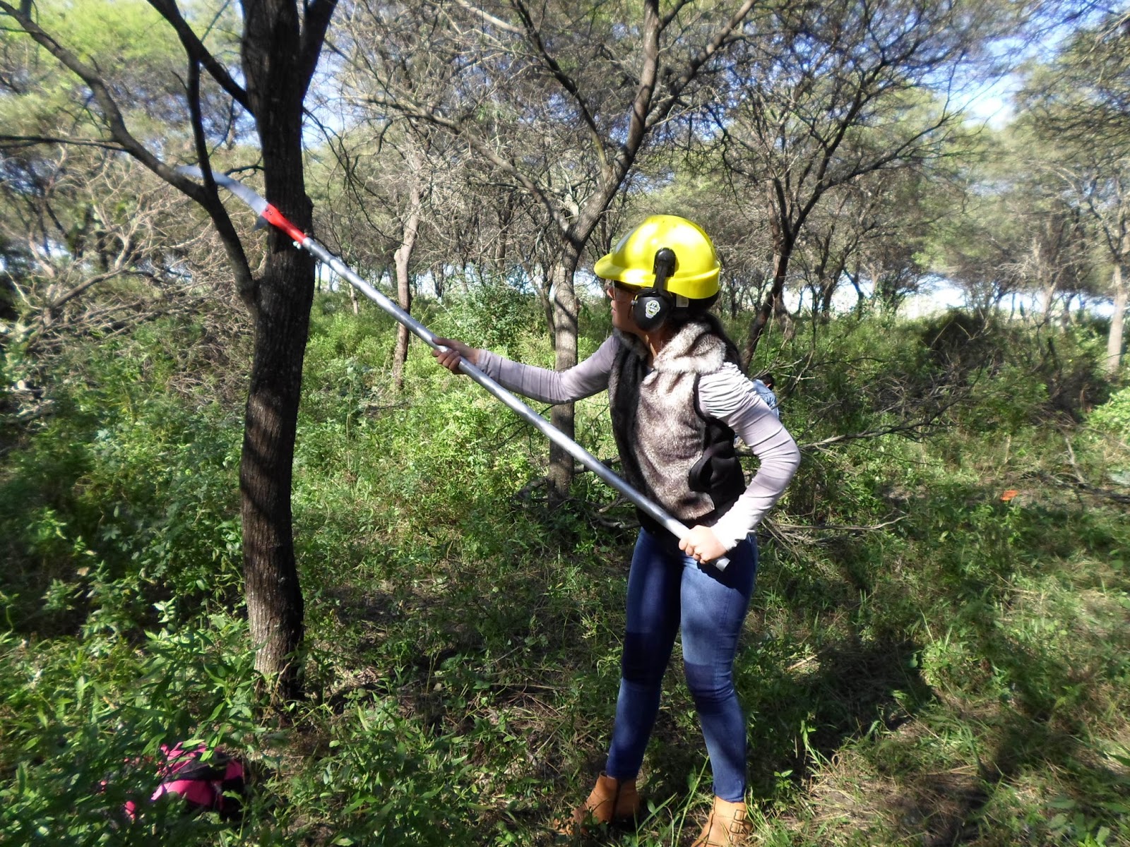 Parque Chaqueño Forestal: Taller y capacitación de poda y raleo para ...