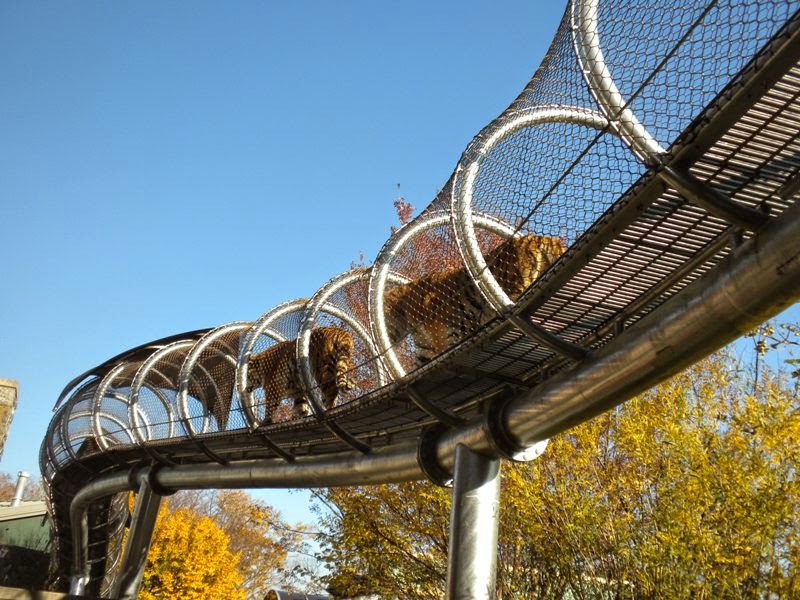 The Zoo Review: Zoo Review: Philadelphia Zoo