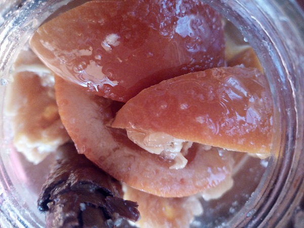 6 ways to Preserve Oranges | Grow Gather Enjoy