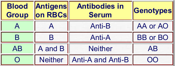 medical analysis laboratory: blood groups types explained and test ...