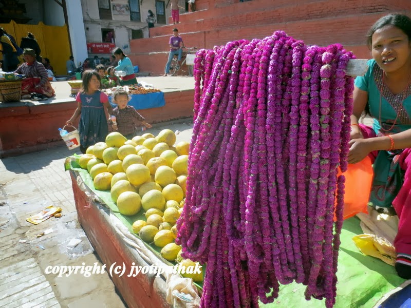 Taste of Nepal: Happy Bijaya Dashami 2013 - विजया दशमीकेा शुभकामना (Part 2)