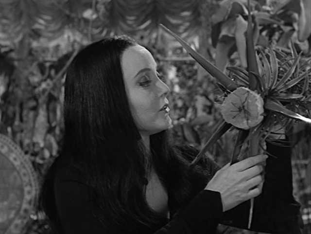 The Mansion of The Addams Family.