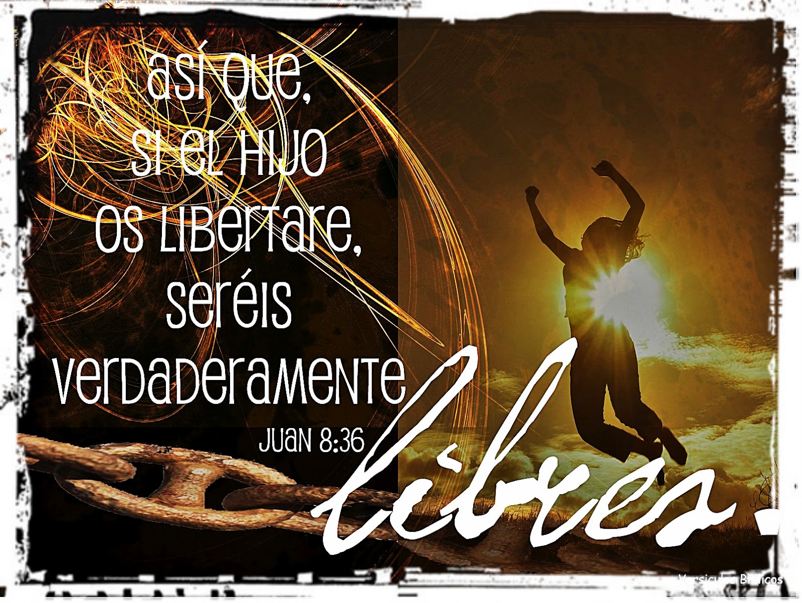 Vers culos Biblicos Juan 8 36