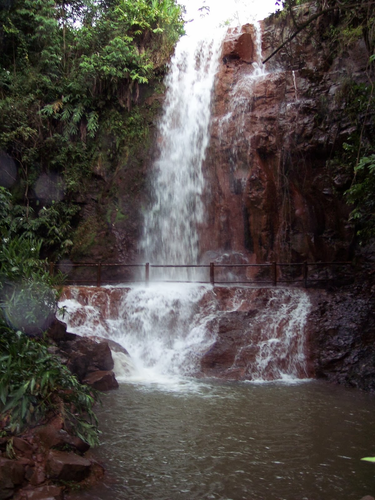 Lugares e Seus Passeios: Brotas - SP: Aventura no meio da mata