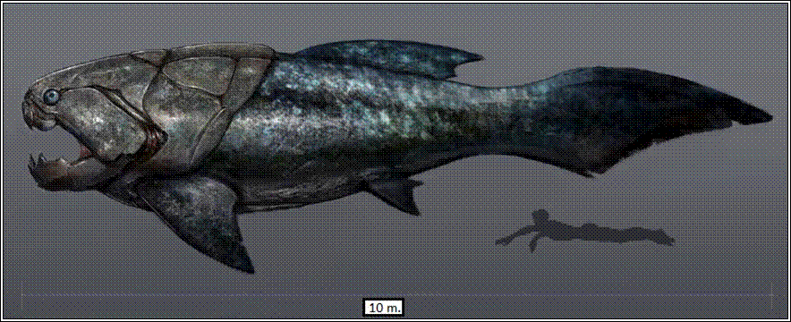 Sapienciario de culturemas: Misterios de nuestro mundo y del universo ...