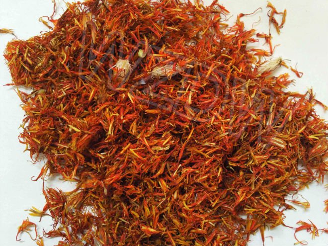 Farmasi kelompok 2 X-3 : Alda Riau Gucci dan Nurul Apriyanti: Simplisia ...