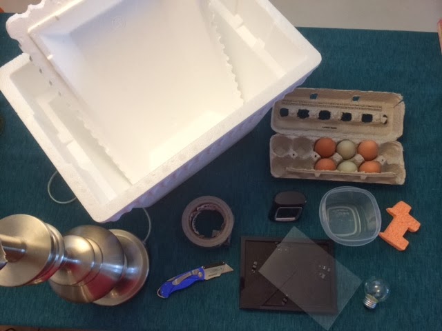 101 Uses for a Cardboard Box: Making an Egg Incubator