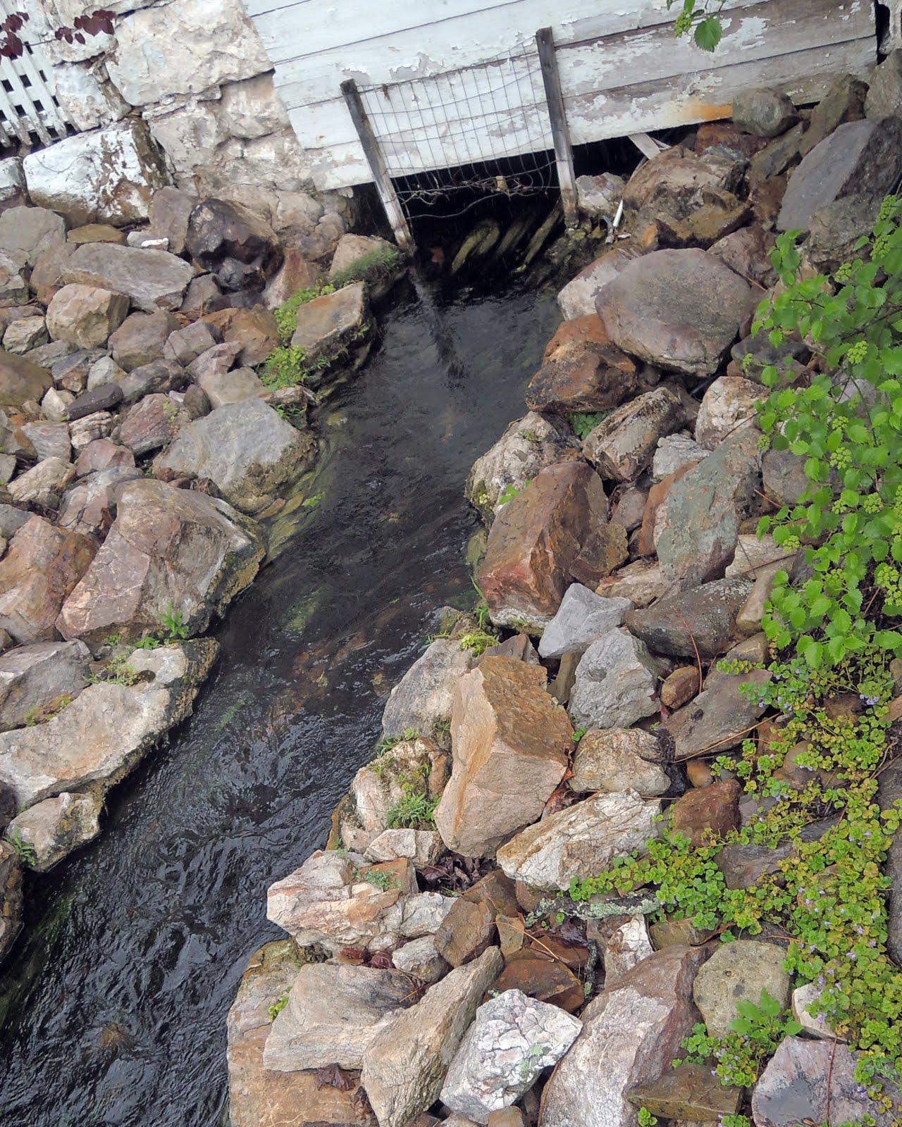 유 ErikTrek.com: Historic Jefferson Pools | Warm Springs, Virginia