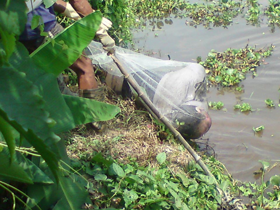 Xác chết trôi sông tại thị trấn Cồn - Hải Hậu - Nam Định - Ảnh Nóng ...