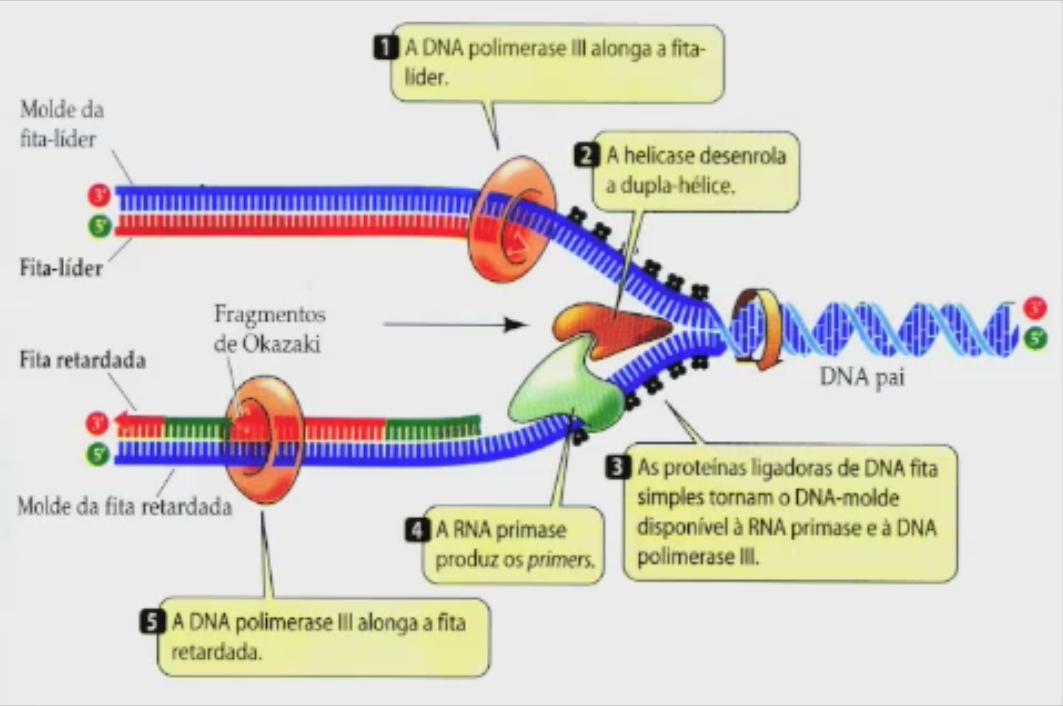 Science : Bioquímica.