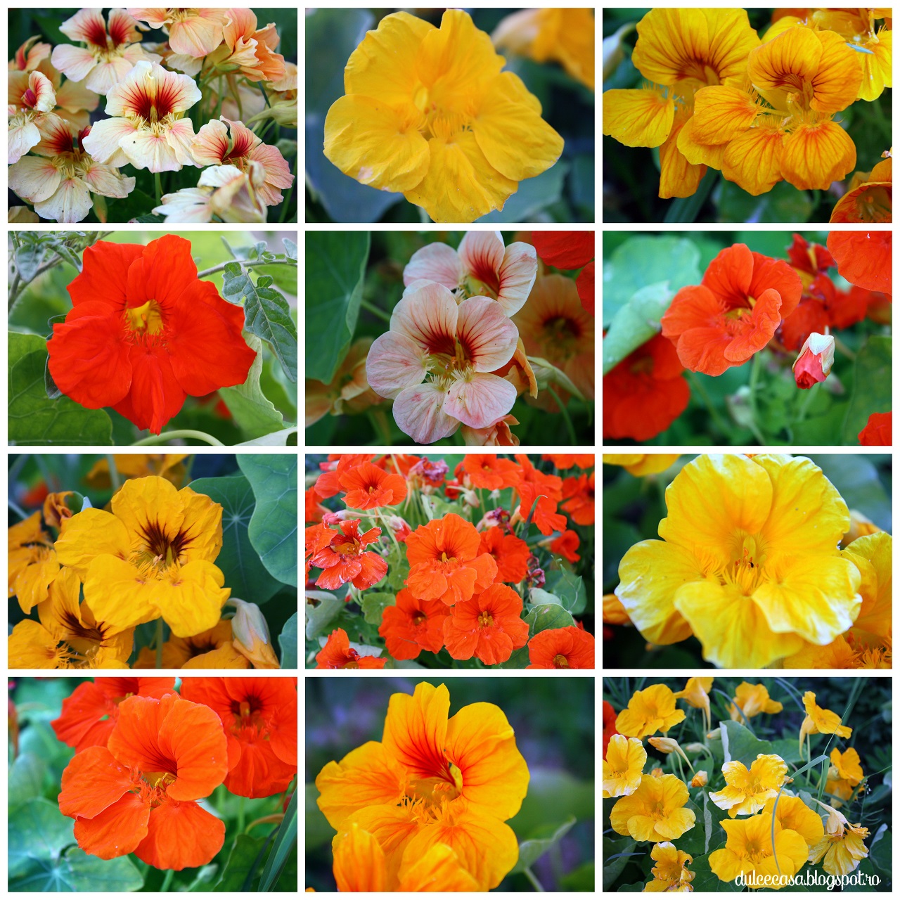 Dulce Casă : inspirație, motivație și încurajare: Ce putem face din ...