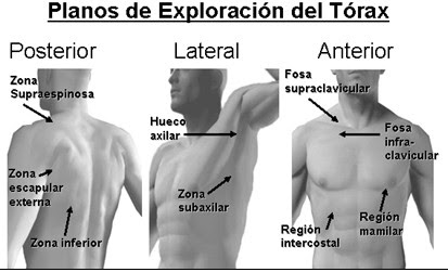 Examen del torax: Examen del Torax