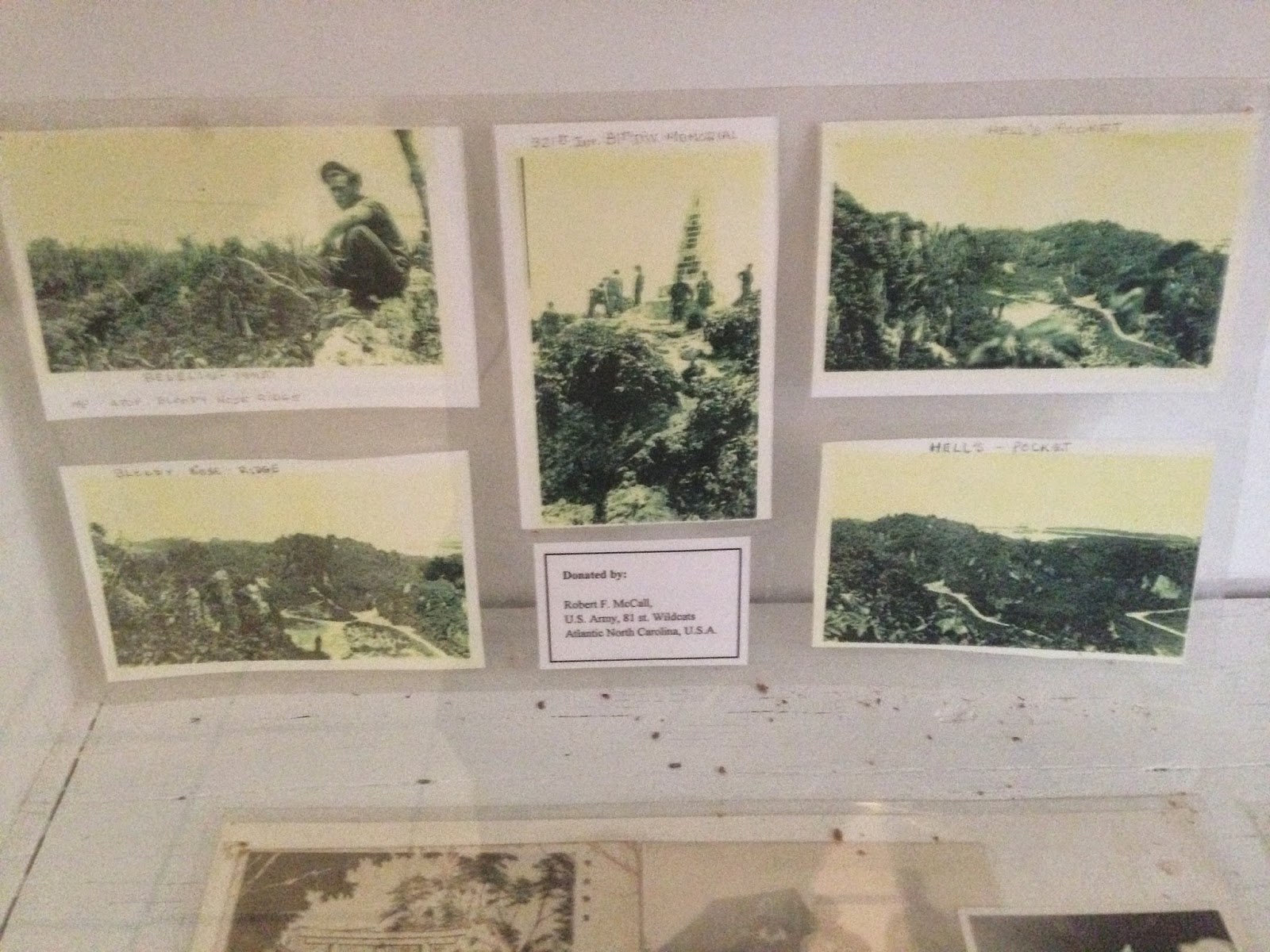 The History of Mount Needle Pie: Ghosts of Peleliu: Exploring a Bloody ...