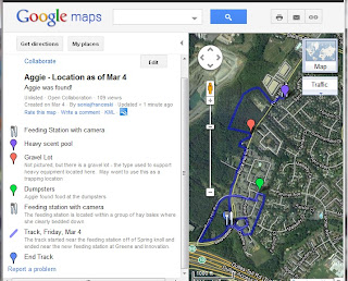 Lost Dog Recovery Lessons Learned