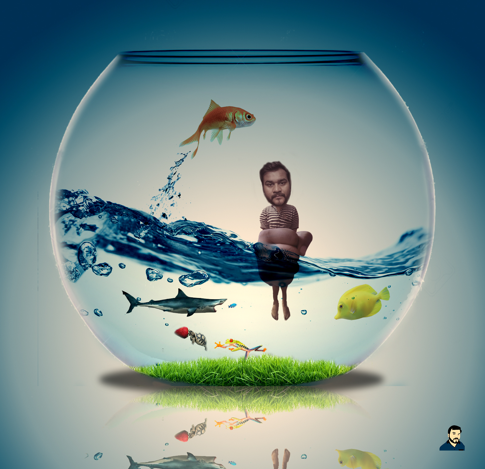 Siddharth Graphics Blog: Fish Bowl Manipulation