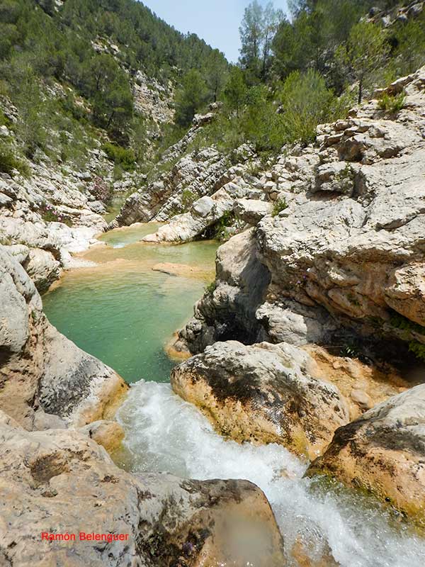 BICHOS Y MAS VLC: DE PASEO POR El RÍO FRAILE MENOS CONOCIDO