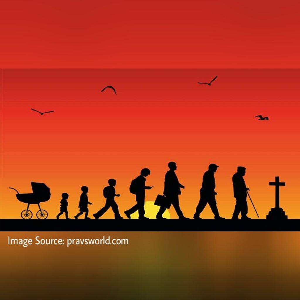 Illuminated Living: Stages of Life