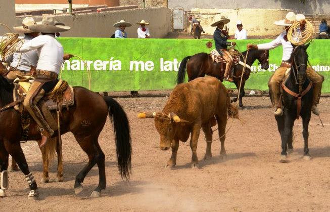Candeportes: MANGANEANDO: Un Capacha más a la Leyenda de Jesús Aceves ...