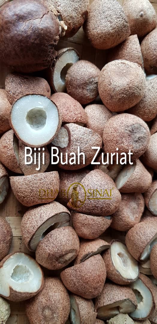 KaPSuL BuAh ZuRiaT (Doum Haromain) : KHASIAT BUAH ZURIAT