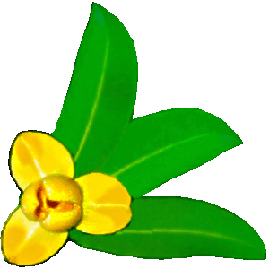 Kulen Mountain The Holy Mountain | Pka Romdoul