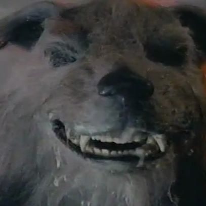 The Sky Has Fallen: Silver Screen Werewolves