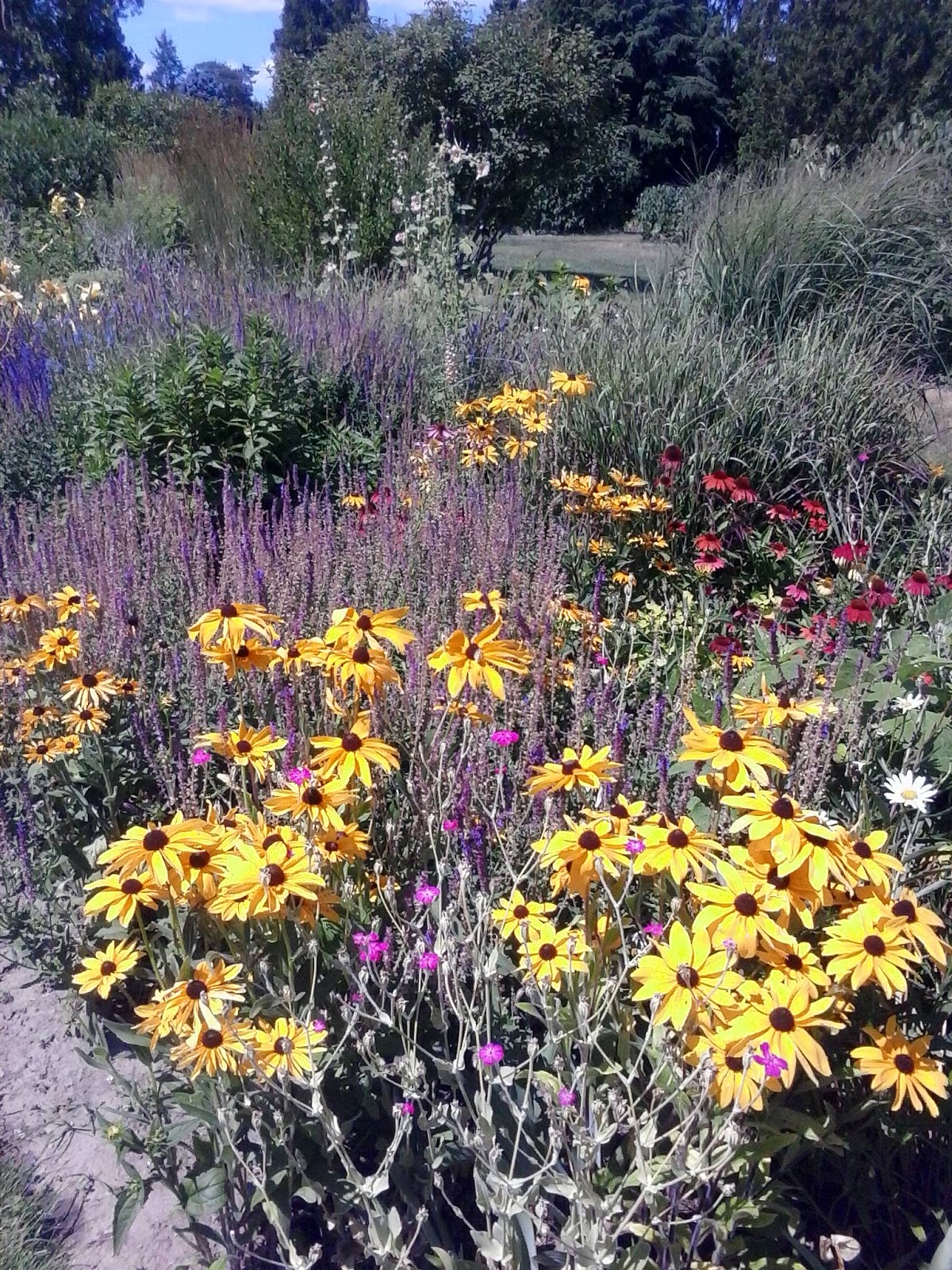 Ottawa Daily Photo: Ornamental Garden