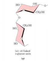 MR. BOB BLOG: SELULOSA DAN ENZIM SELULASE