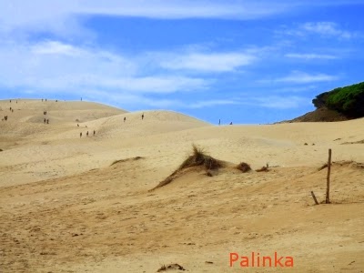 En Busca del Hada Azul: Dunas de arena