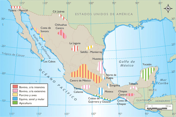 Geografia