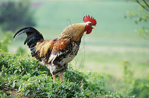 November 2012 | Impressions of Davao