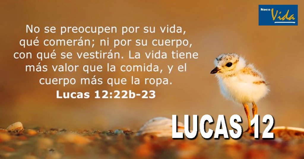 Neco Vida: Leyendo... Lucas capítulo 12