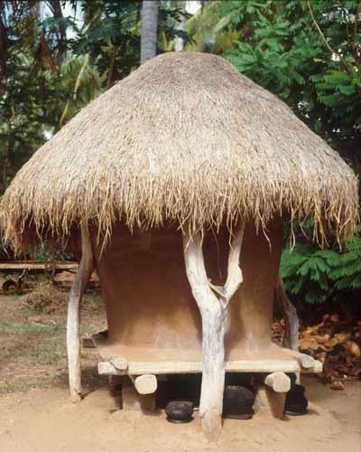 Traditional Agriculture Part 2 - Present Utilization