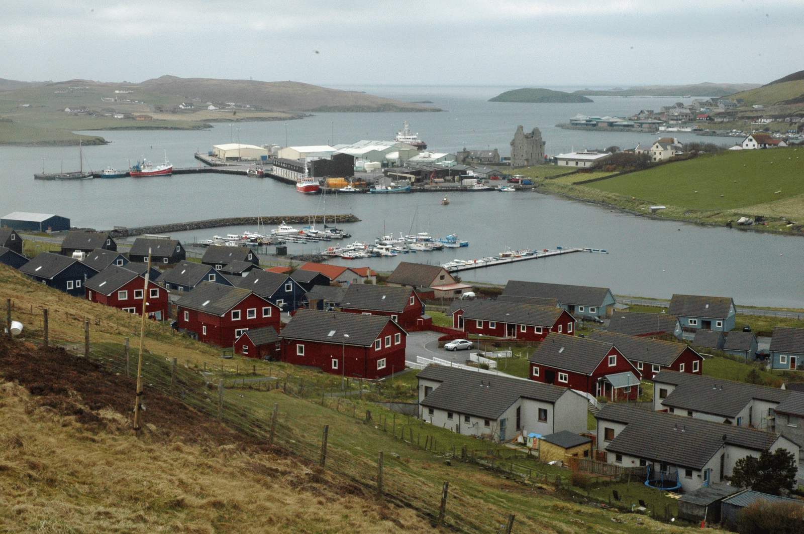 Shetland Summer Sailing with Swan: The Leaving of Scalloway