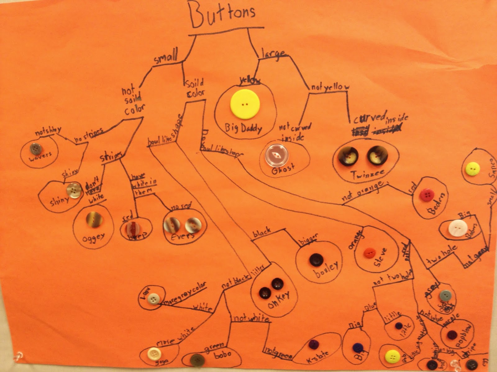 Real Teachers Learn: Dichotomous Keys {Featured on The Science Penguin}