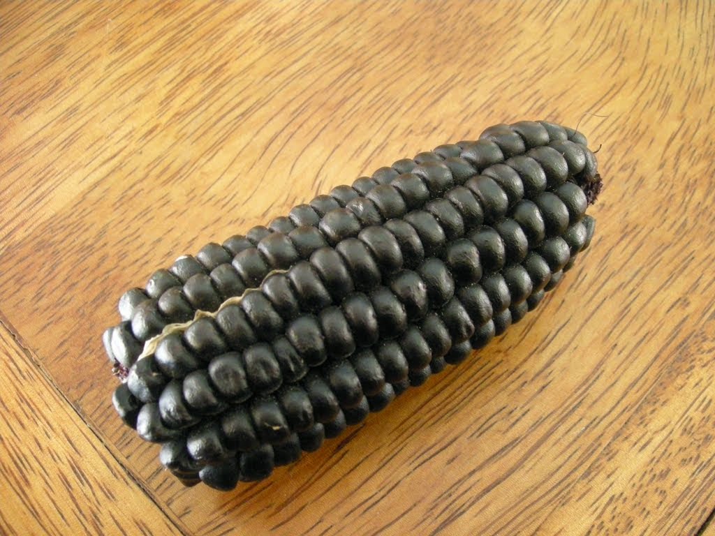 Corncoblog!: Black Corn. It's trending!