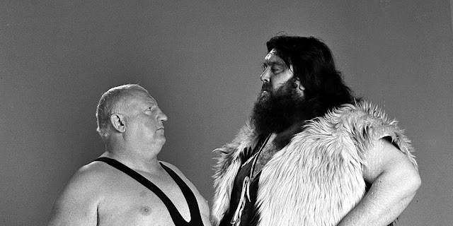 A Year in the Spotlight - Why 2017 has been a momentous year for ...