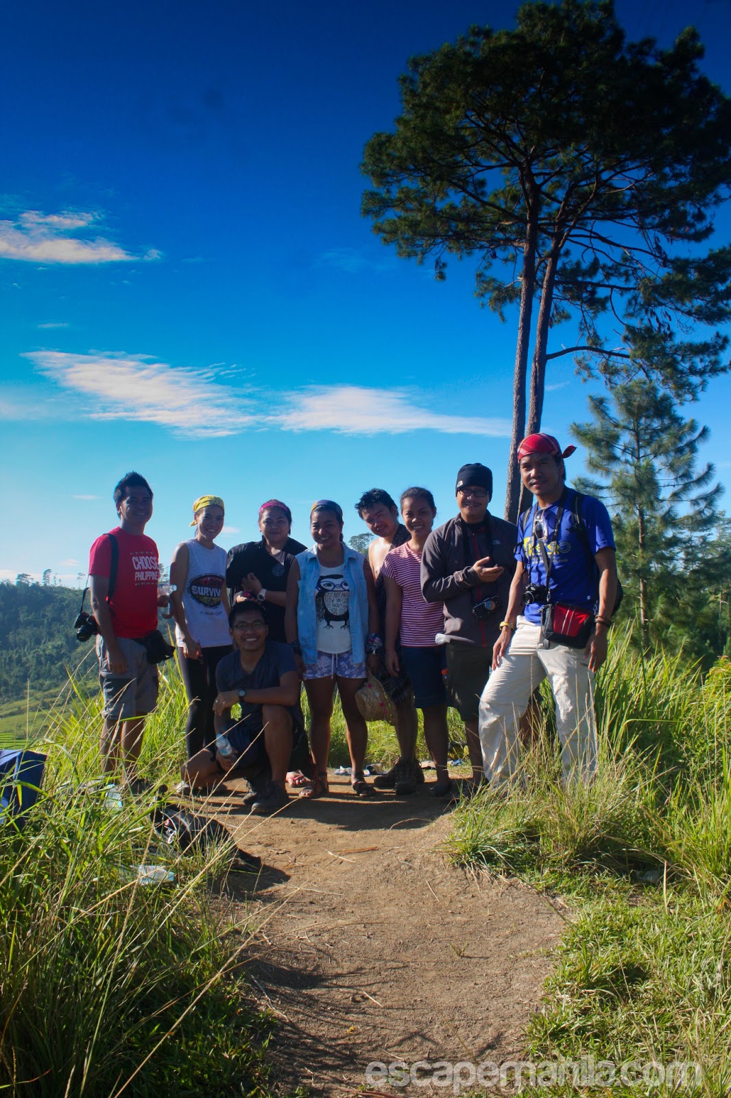 The One Tree Hill at the Bukidnon Provincial Tree Park - Escape Manila