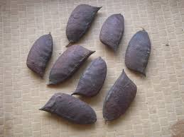 Share Your Ideas..: SAPPAN WOOD a.k.a SIBUKAW...