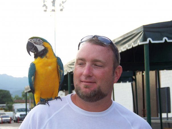 AIM ALUMNI ASSOCIATION BLOG