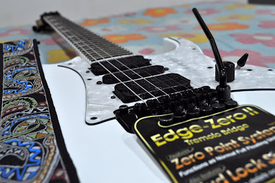 Kunal's Official Blog: New 2011 Ibanez RG 350 DXZ with EDGE ZERO II & ZPS3Fe TREMOLO