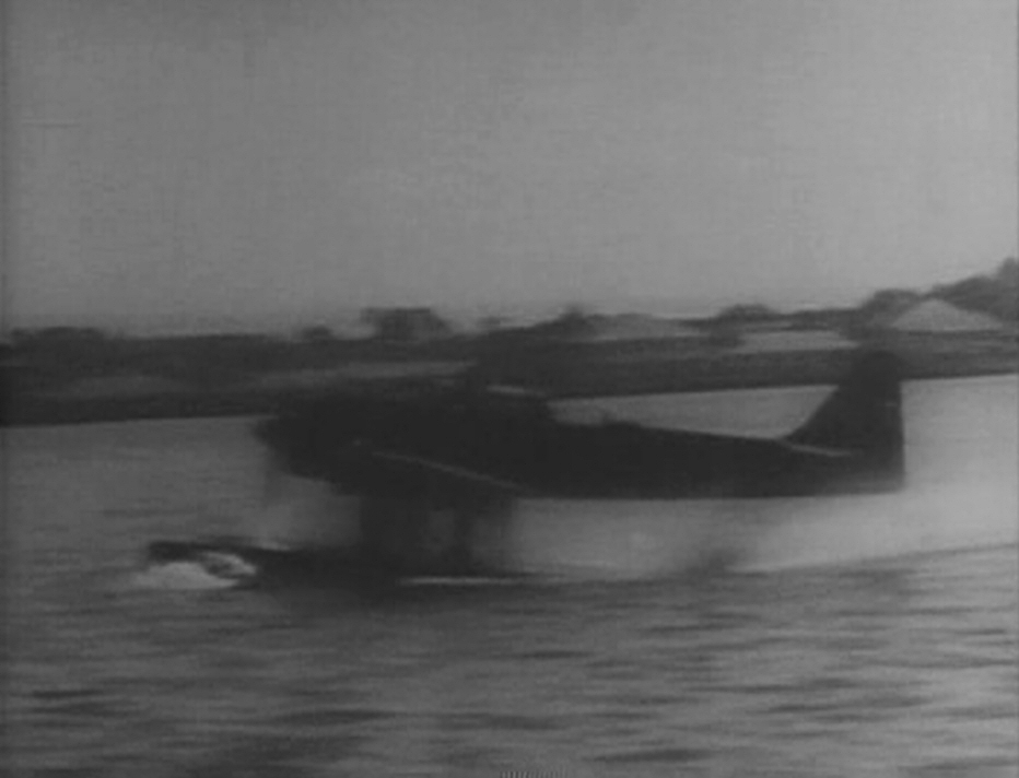 WildEagles: Aichi E16A "Zuiun" (Paul) - #2 - Photos