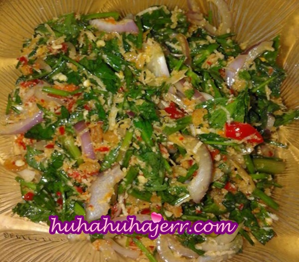 Daun Selom Sedap Di Buat Kerabu Dan Sebagai Ulam - blog santai-santai jerr!