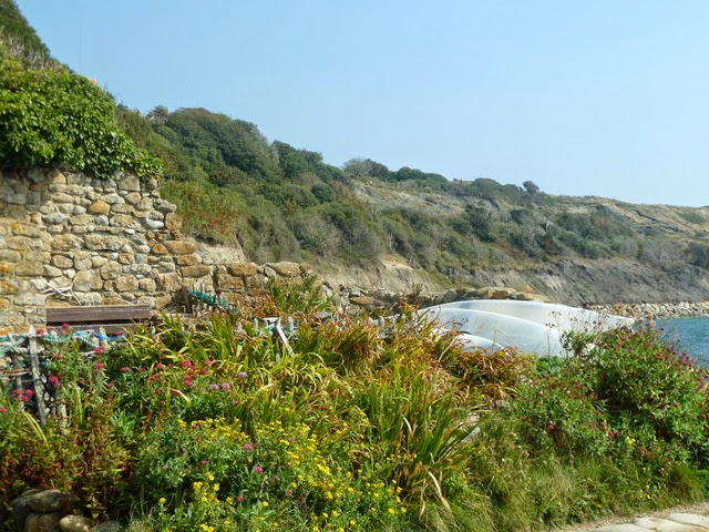 Lin's Isle of Wight Walking Blog: Walk 27 St Catherine's Point - 3.13 miles